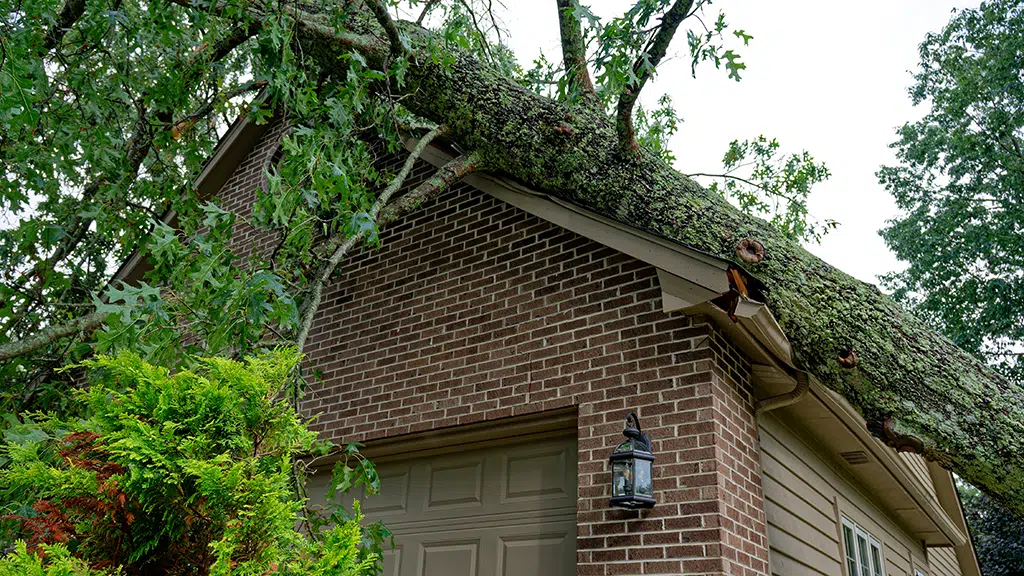 Chicagoland Roofing, Siding, Windows & More | Matrix Exteriors